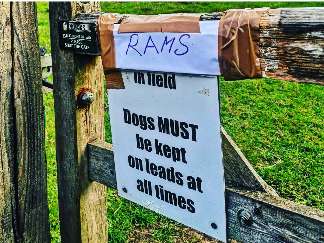 Countryside Code - Livestock and Wildlife - National Trails