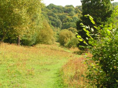 Warburg Nature Reserve (BBOWT) - National Trails